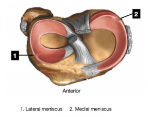 Meniscus Tear - Masterton Foot Clinic